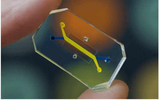 PDMS芯片|微流控芯片|顶旭微控